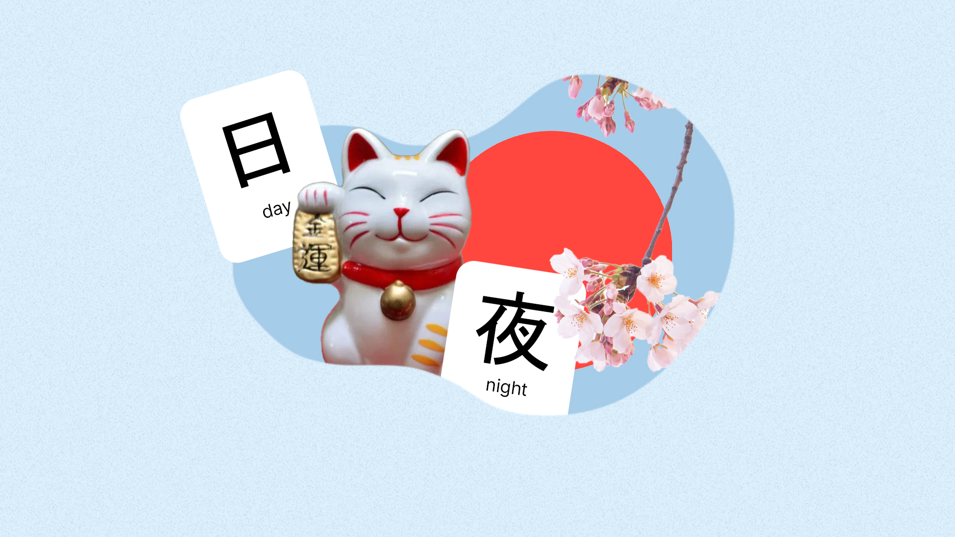 From Alphabets to Anime: Japanese Flashcards for Free - Anki Pro